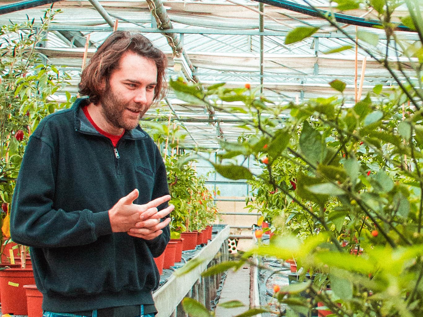 Chili-Experte Alexander Hicks: Göppinger Schärfe - prisma