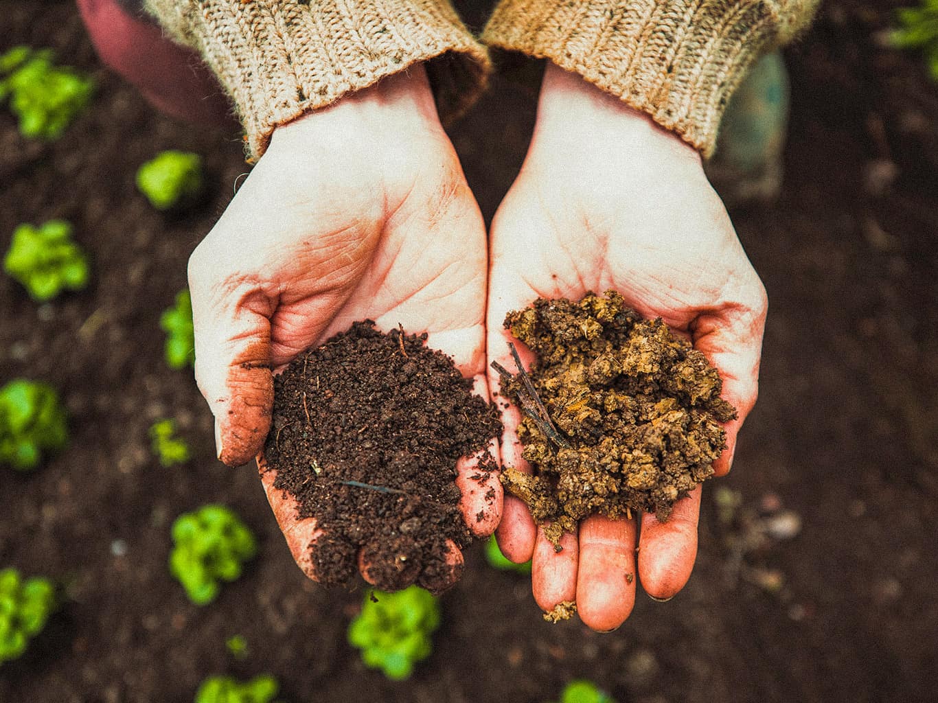 Vortrag über Humus: Keimzelle der Ökoregion Göppingen - prisma